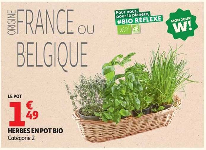Promo HERBES EN POT BIO chez Auchan - iCatalogue.fr