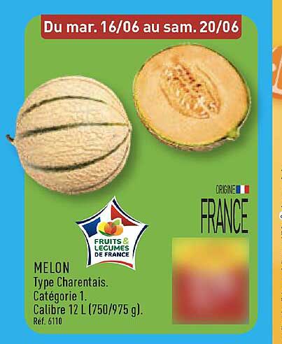 Promo Melon Charentais chez Lidl - iCatalogue.fr